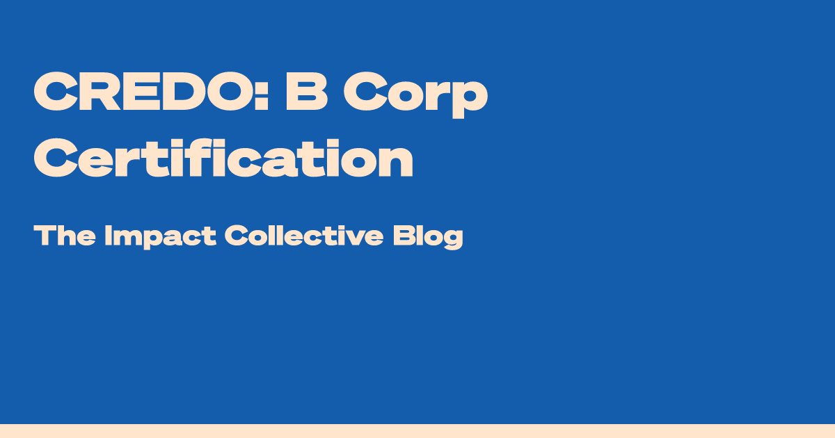 CREDO: B Corp Certification | The Impact Collective